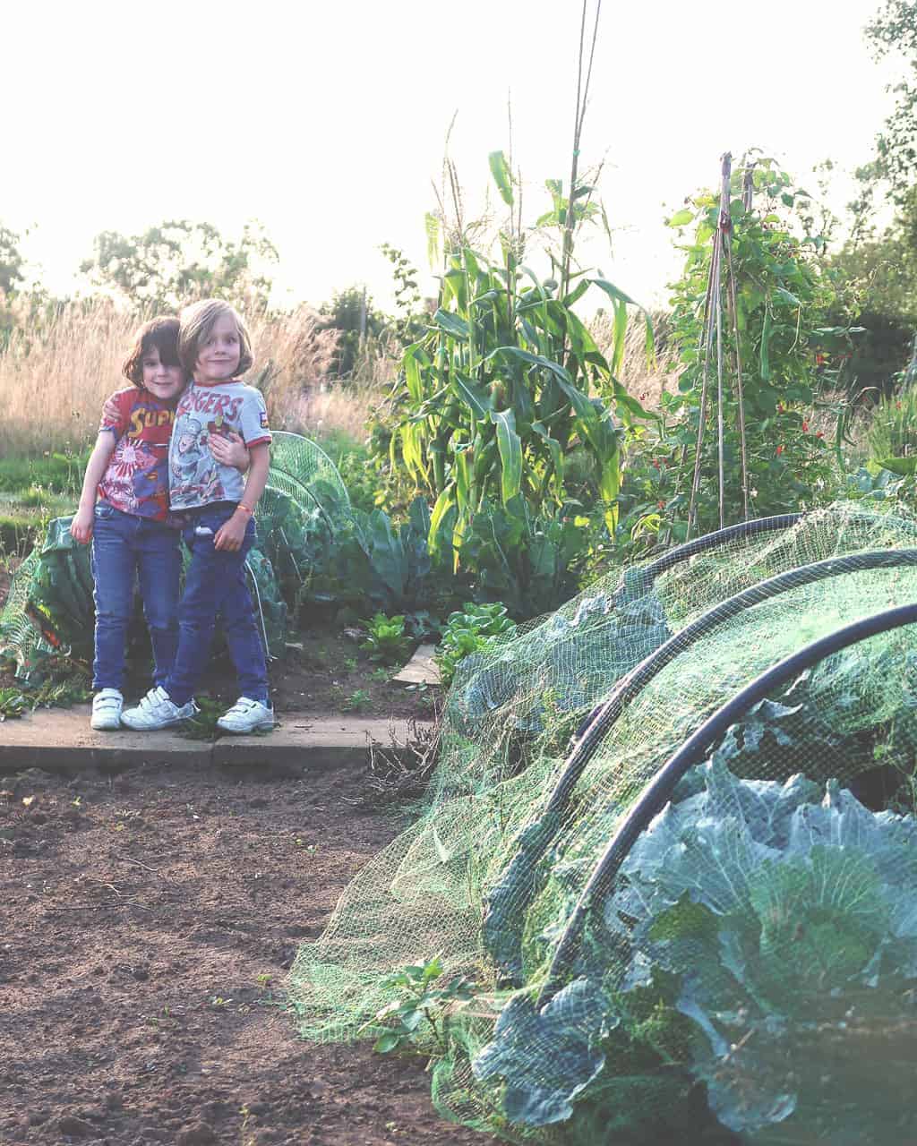 Going Plastic Free For a Week {Family Sustainability Challenge}